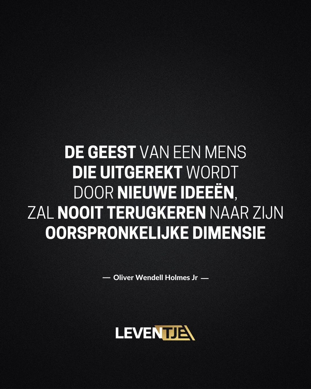 Dé 10 beste Mindset Quotes ooit | Leventje